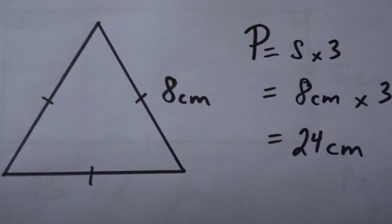 What’s the Difference Between Area and Perimeter? - Math Exercises For Kids